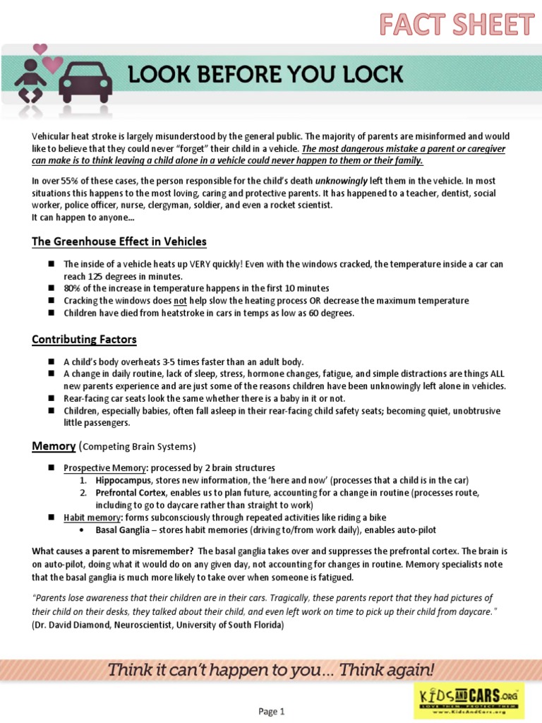 Look Before You Lock Fact Sheet | PDF | Child Care | Relationships