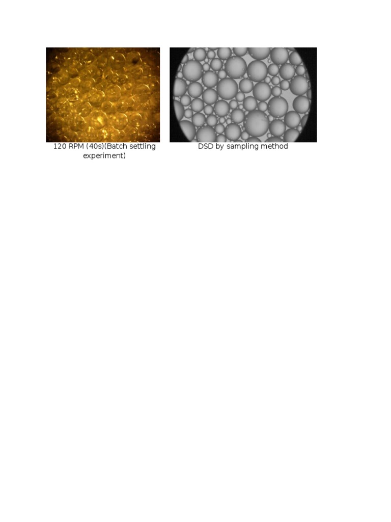 120 RPM (40s) (Batch Settling Experiment) DSD by Sampling Method | PDF