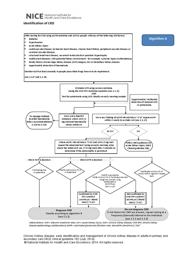 CKD NICE | Chronic Kidney Disease | Renal Function