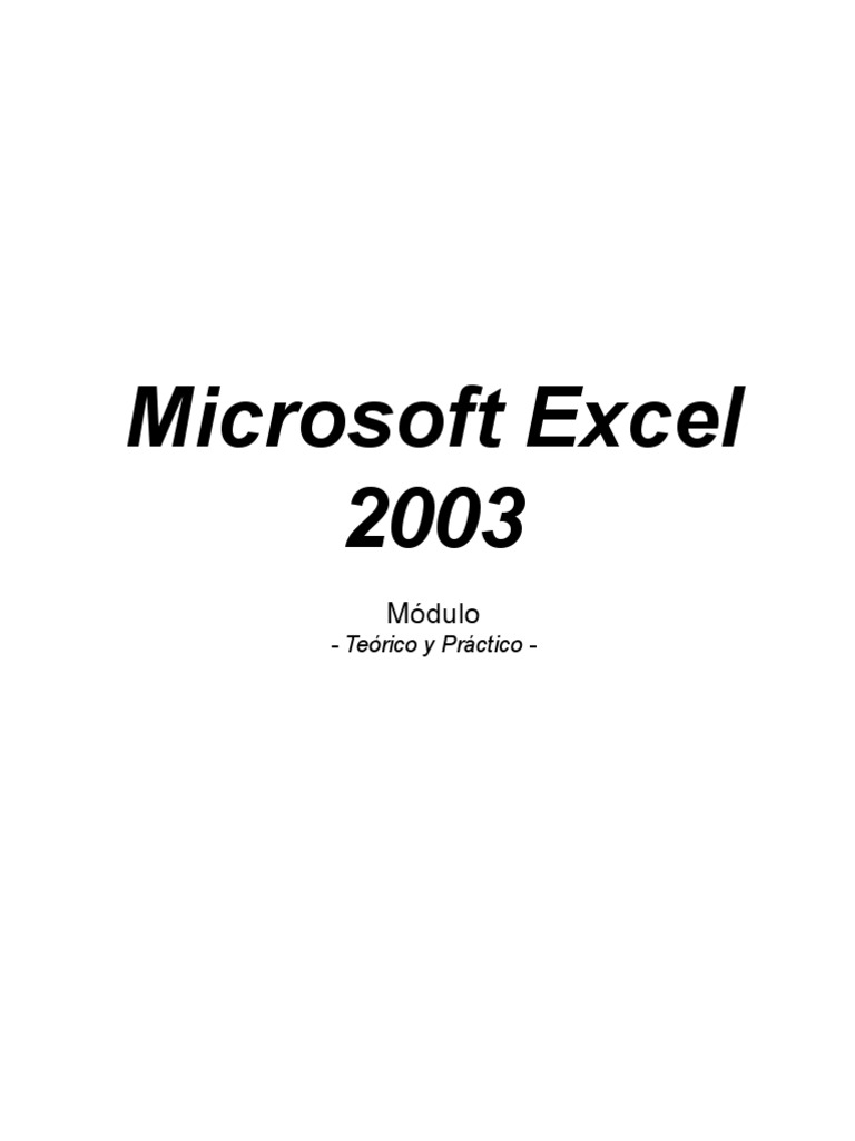 Excel 2003 | PDF | Point and Click | Microsoft Excel