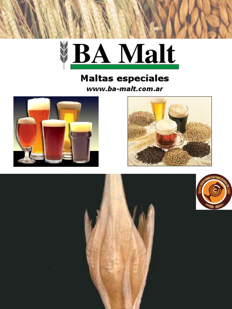 Cebada Malteada | PDF | Cerveza inglesa | Malta