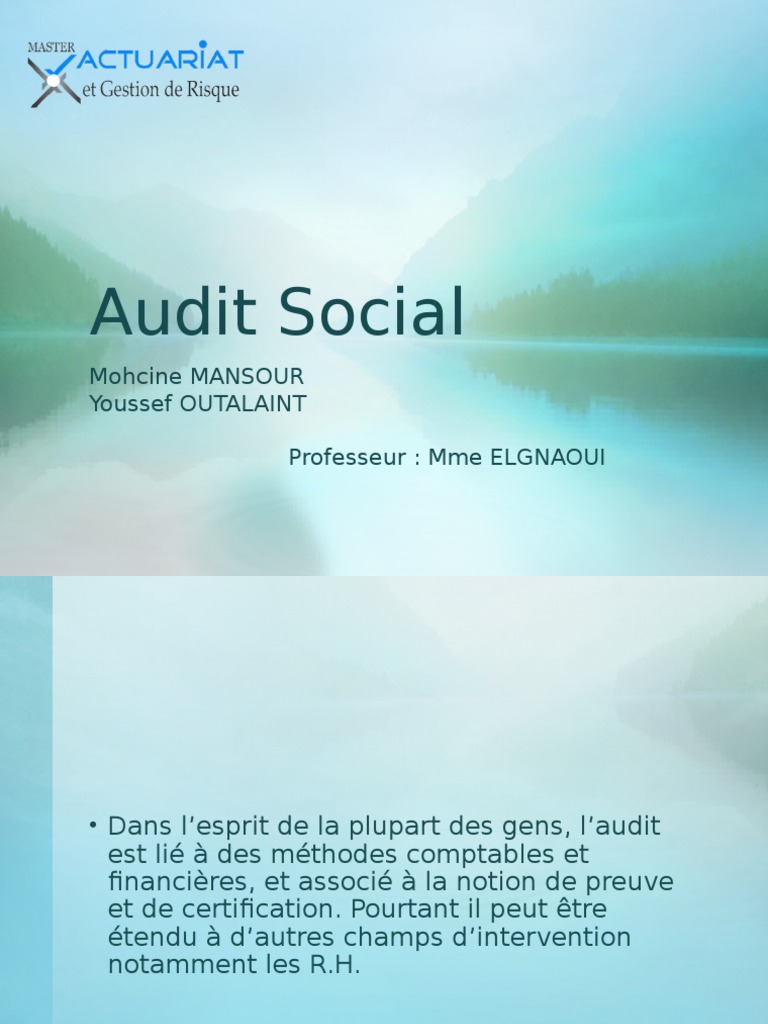 Audit Social | PDF | Audit | Gestion des ressources humaines