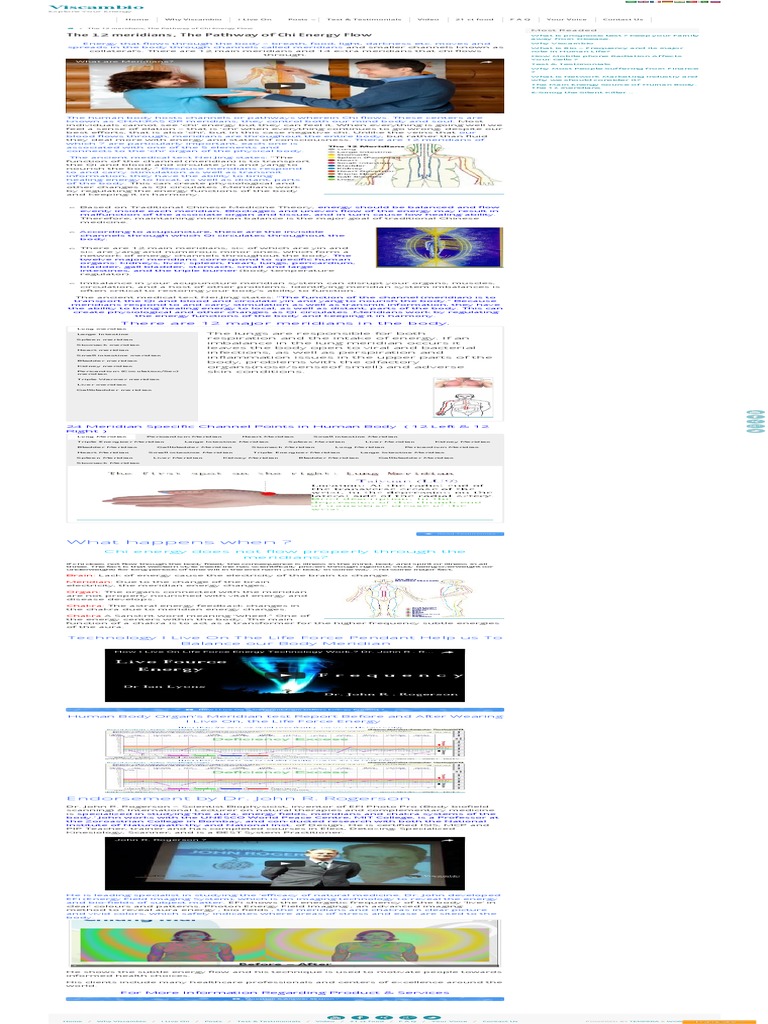 The 12 Meridians The Pathway Of Chi Energy Flow Pdf Meridian