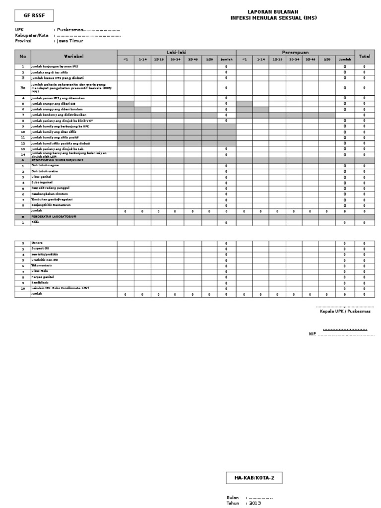 Form Laporan Bulanan IMS | PDF