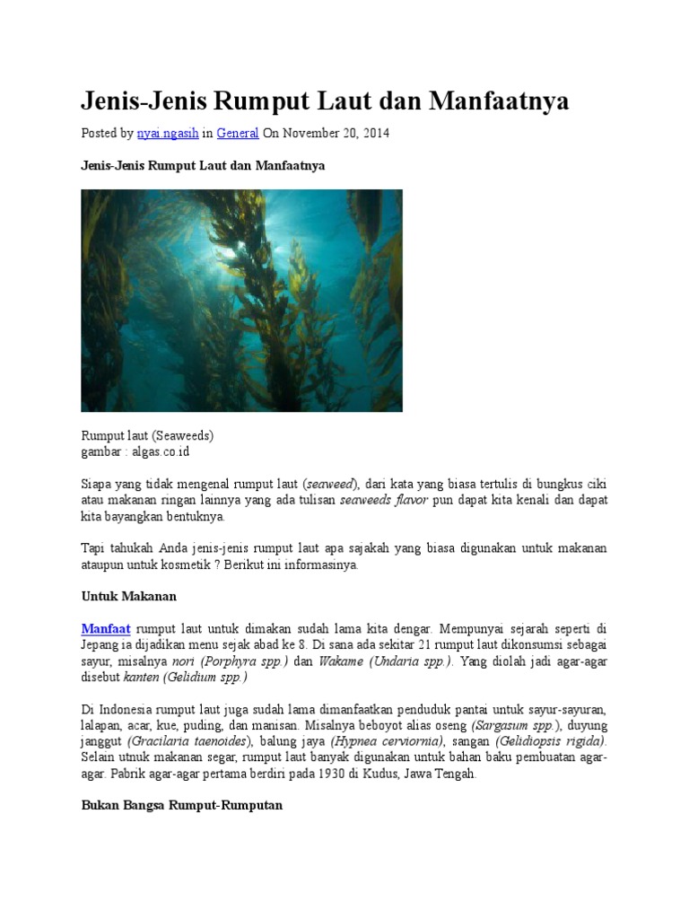 Jenis Rumput Laut Dan Manfaatnya | PDF