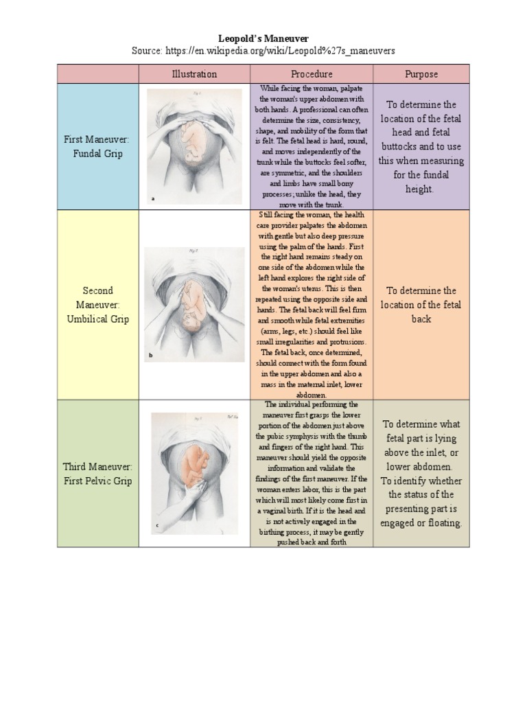 LEOPOLD'S MANEUVER.docx | Fetus | Childbirth