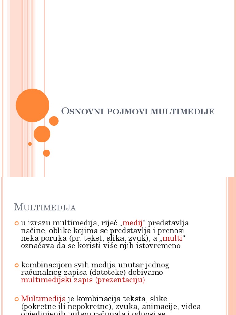 Osnovni Pojmovi Multimedije | PDF