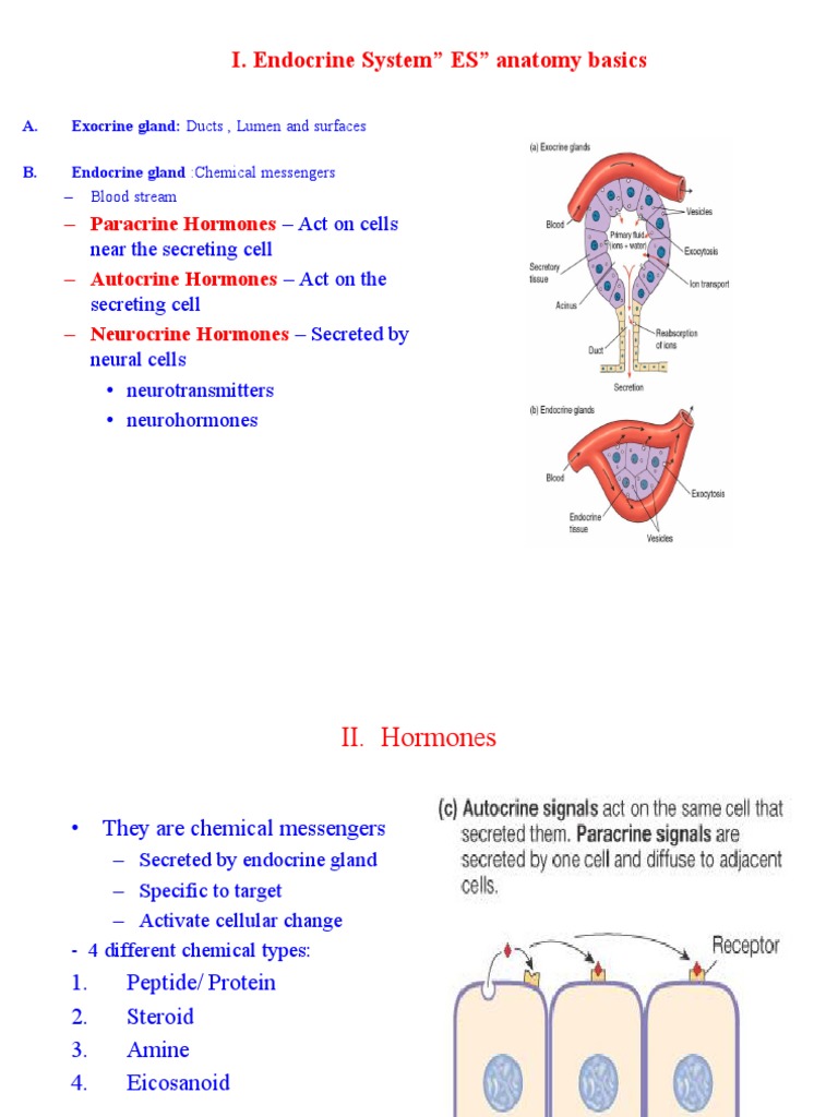Endocrine pharmacology (1).pdf | Luteinizing Hormone | Growth Hormone