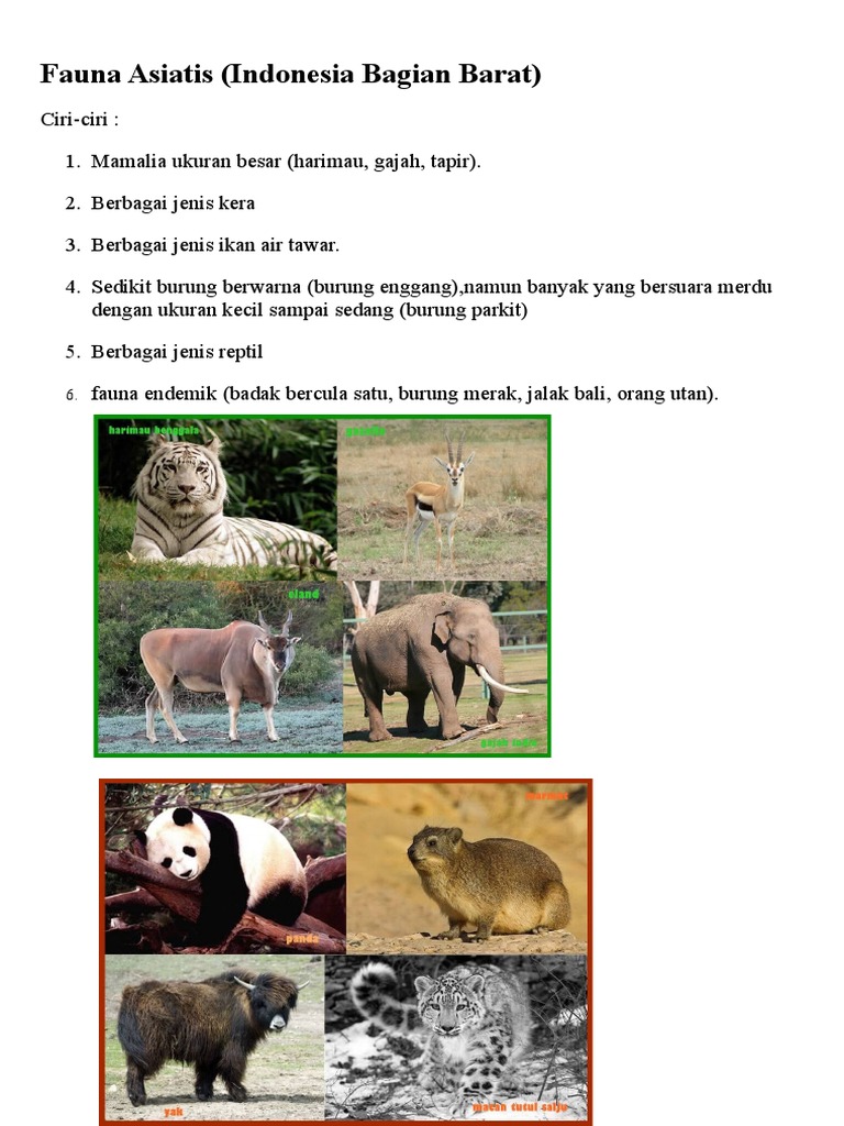 Ciri-Ciri Fauna Asiatis di Indonesia | PDF | Perjalanan