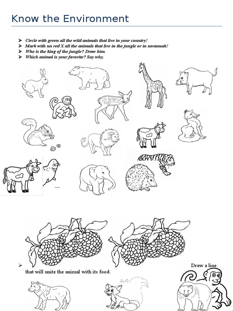 Know Your Environment - Animals | PDF | Nature