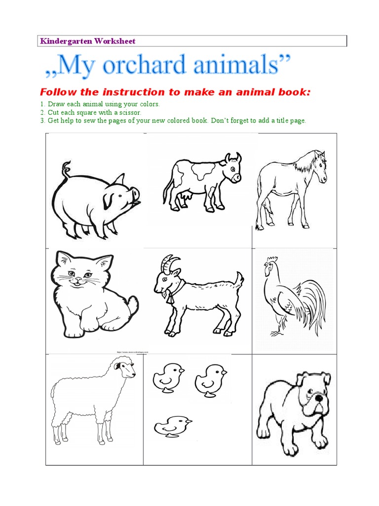 Animal Book Drawing Worksheet | PDF