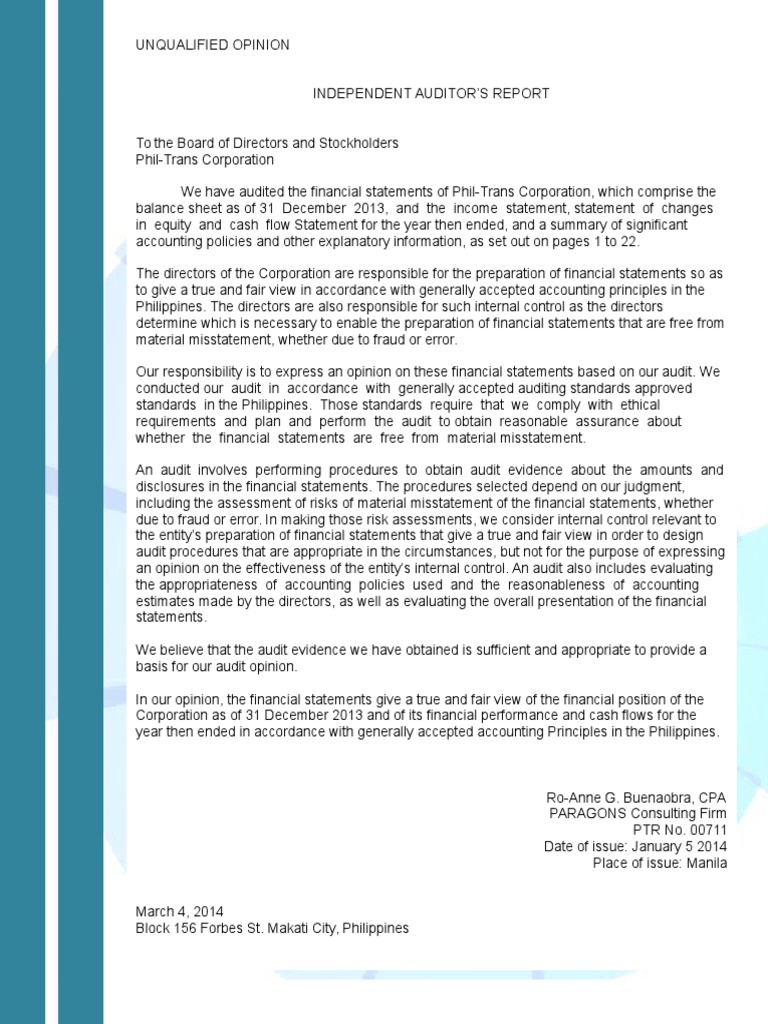 Independent Auditor's Report | PDF | Financial Audit | Audit