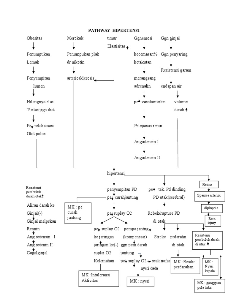 Pathway Hipertensi | PDF