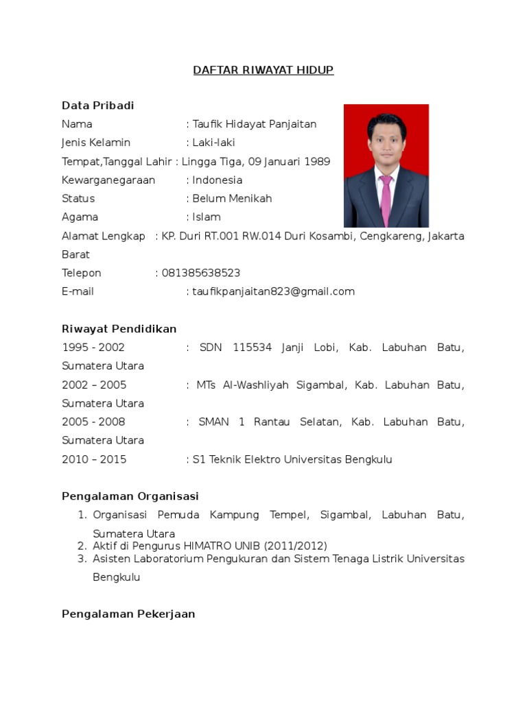 CV Taufik Hidayat Panjaitan | PDF
