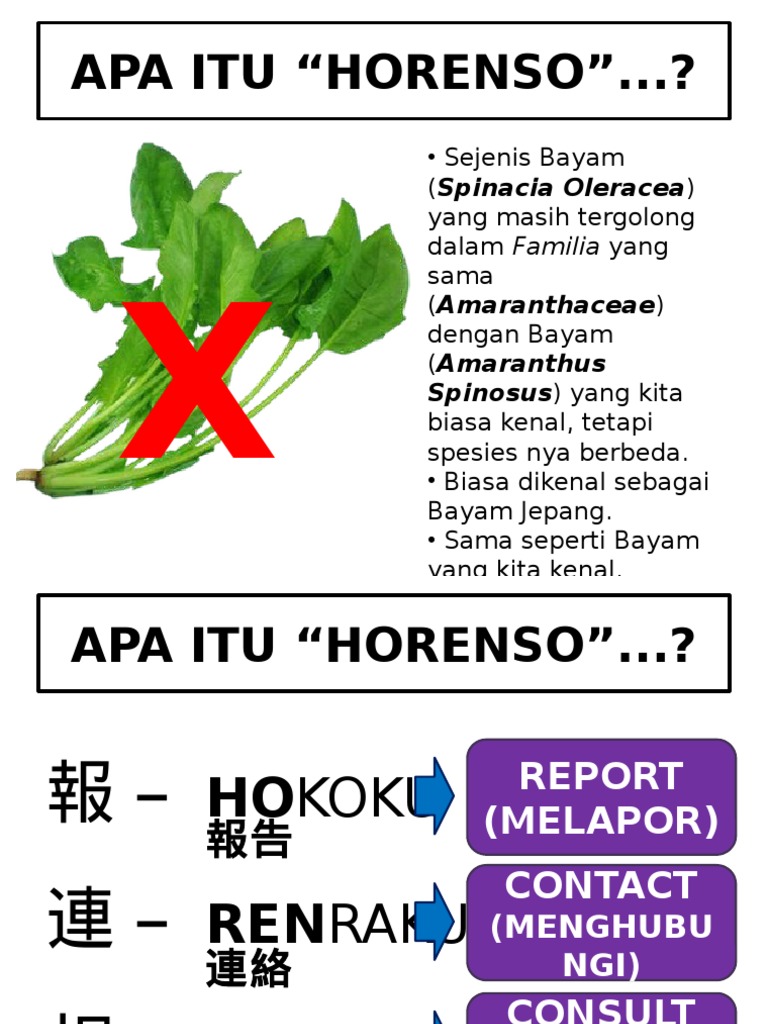 Kenapa Horenso | PDF