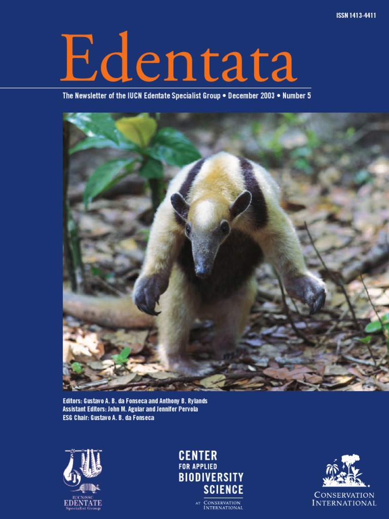 Edentata 5 | PDF | Brasil | Museu