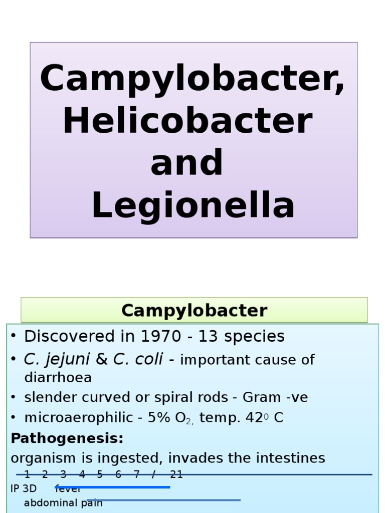 17 207 Campylobacter, Helicobacter | PDF