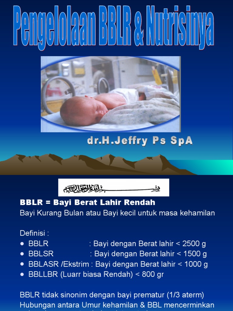 BBLR | PDF | Memasak, Makanan, & Anggur | Kesehatan Holistik