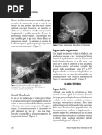 ANEXO TEMA 3 RODILLA-Fosa Intercondilea | PDF | Rodilla | Pelvis