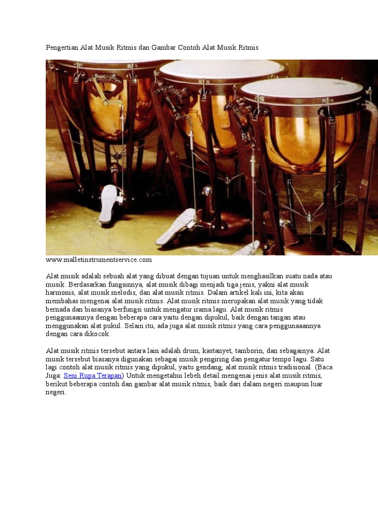 Pengertian Alat Musik Ritmis Dan Gambar Contoh Alat Musik Ritmis | PDF ...