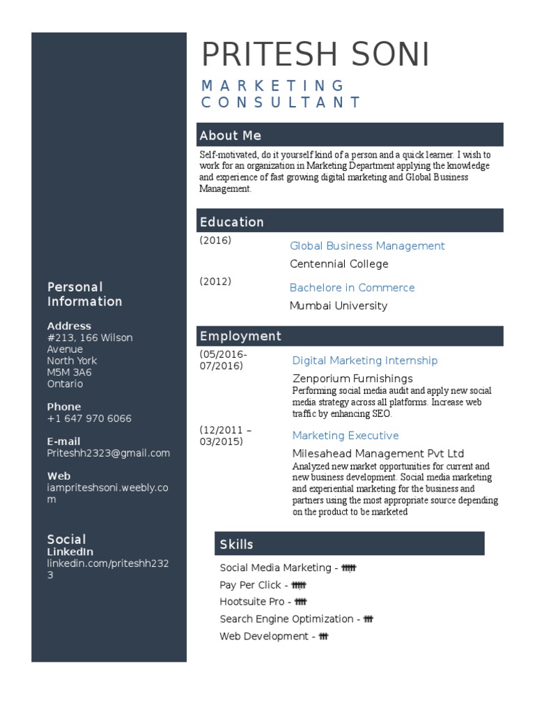 Marketing Consultant Pritesh Soni Profile | PDF