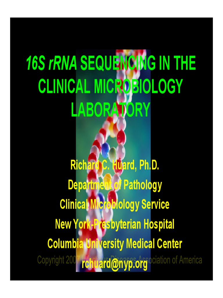 16s rna sequencing | 16 S Ribosomal Rna | Ribosomal Rna
