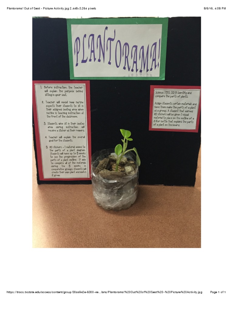 Plantorama Out of Seat Activity Image | PDF