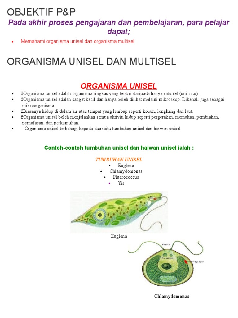 Organisma Unisel N Multisel | PDF