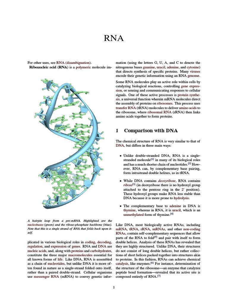Rna PDF | Download Free PDF | Rna | Messenger Rna