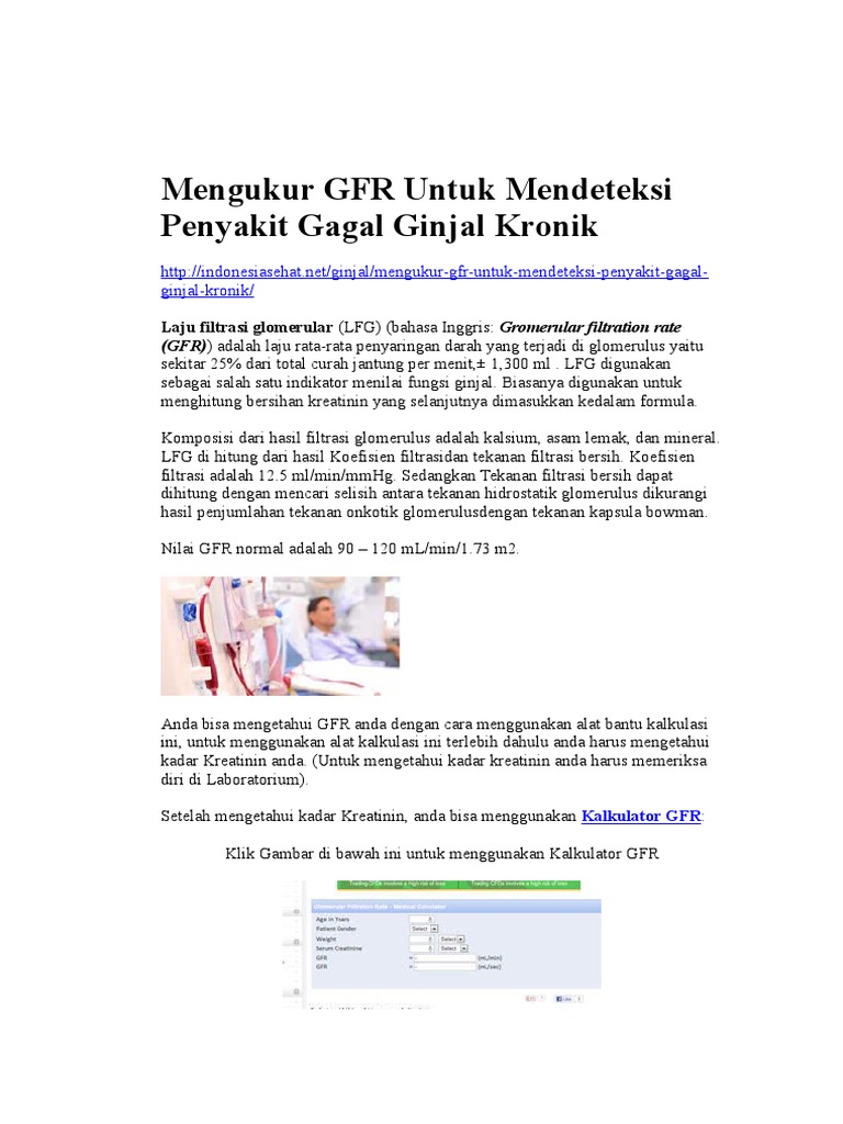 Mengukur GFR | PDF