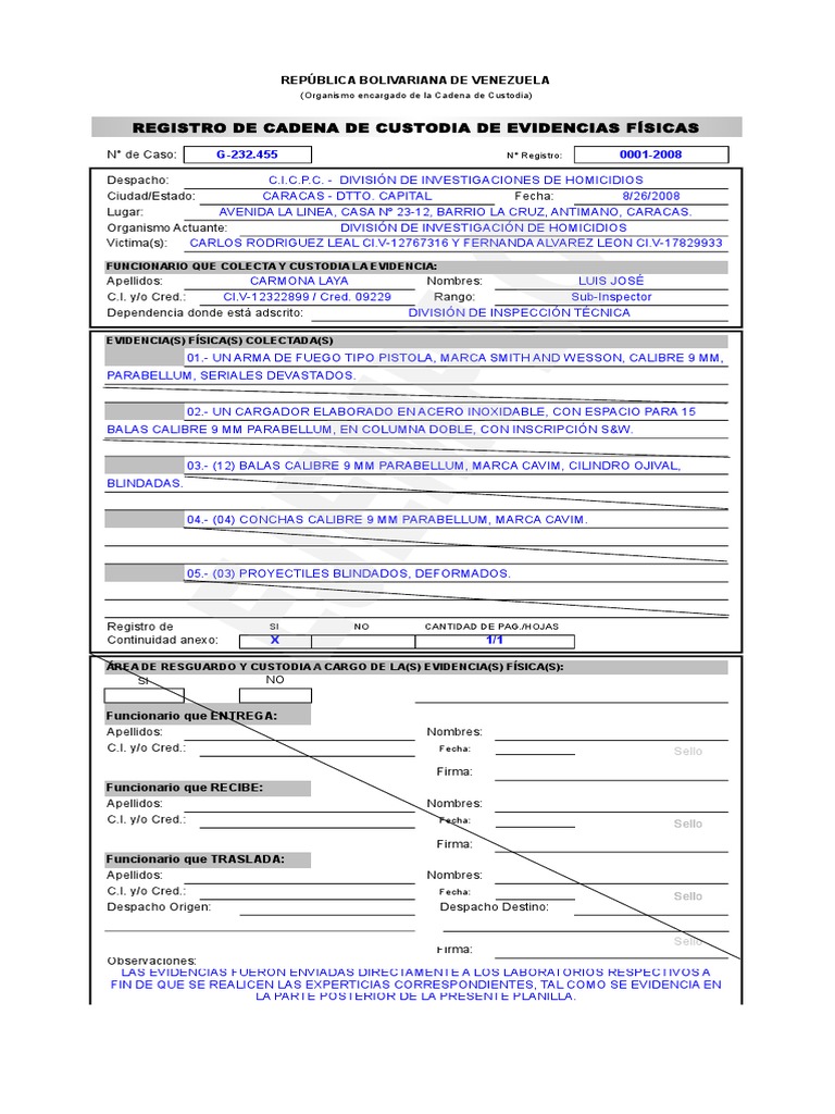 Ejemplo de Llenado - Formato RCC y Rc-01-2008 (Version 1) | PDF | Munición | Proyectiles