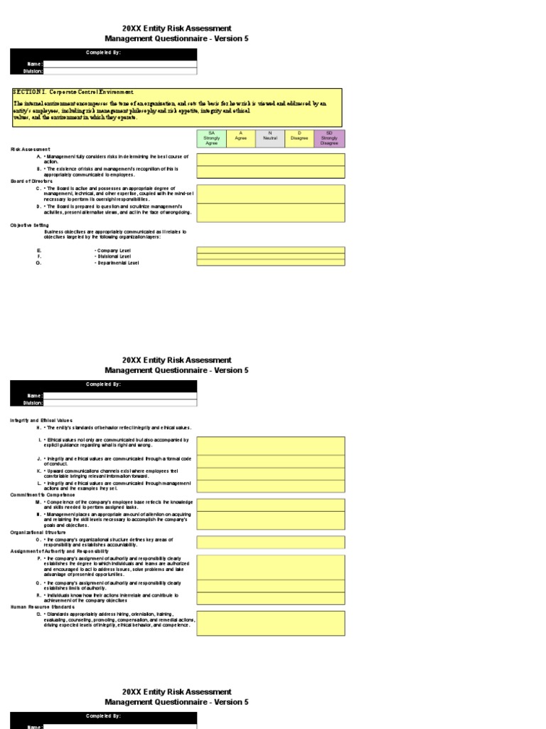 Risk Assessment Management Questionnaire | PDF | Risk | Competence ...
