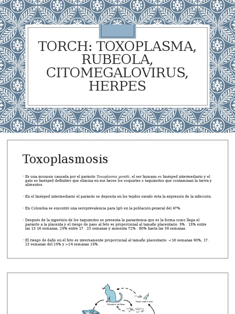 Torch | PDF | Ciencias de la Salud | Medicina CLINICA
