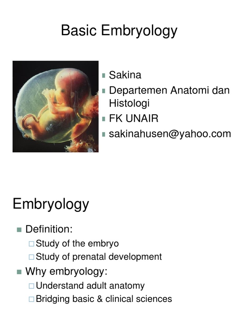 Basic Embryology | PDF | Fetus | Embryo