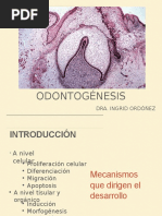 Guia Informacion Basica Del SNIS-VE | PDF | Información | Planificación