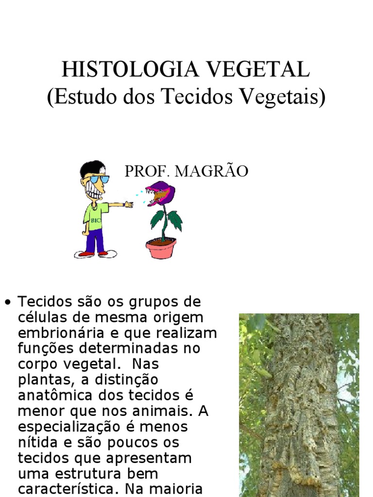 Biologia PPT - Botânica - Histologia Vegetal | PDF | Raiz | Fisiologia ...