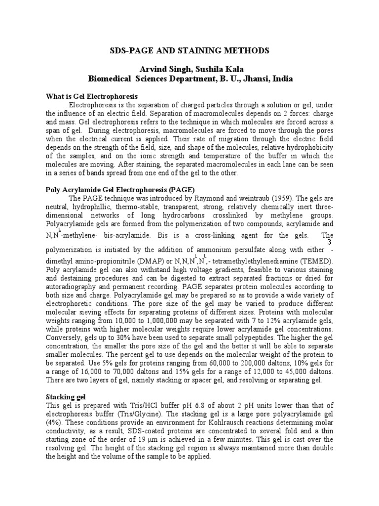 Sds-Page and Staining Methods | PDF | Polyacrylamide Gel ...