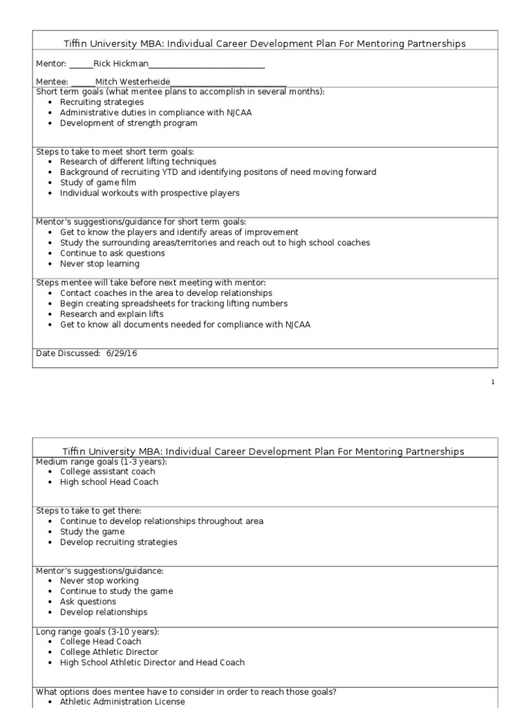 Mentorship Goals Discussion Worksheet | PDF