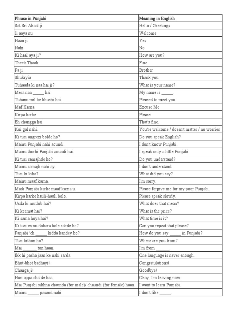Basic Punjabi Phrases Sheet1 | PDF