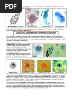 Stool Examination Techniques and Analysis | PDF | Microscopy | Clinical ...