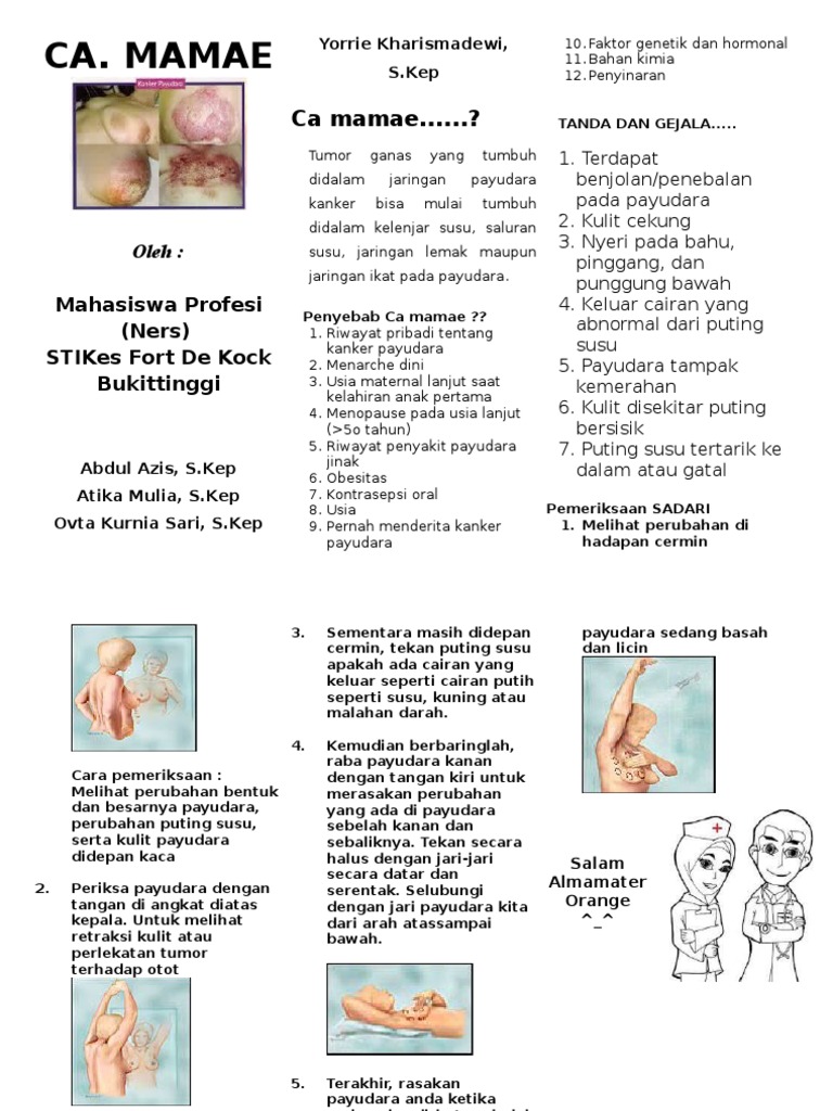 Leaflet CA Mamae | PDF