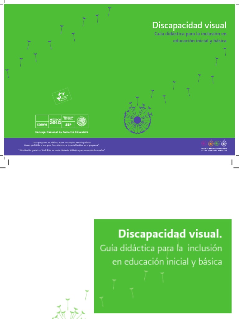 discapacidad-visual.pdf | Percepción | Discapacidad