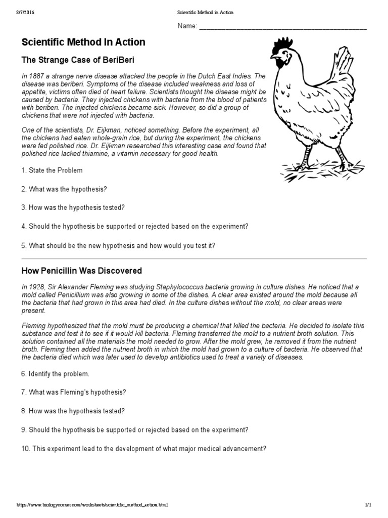 Scientific Method in Action | PDF | Mold | Hypothesis