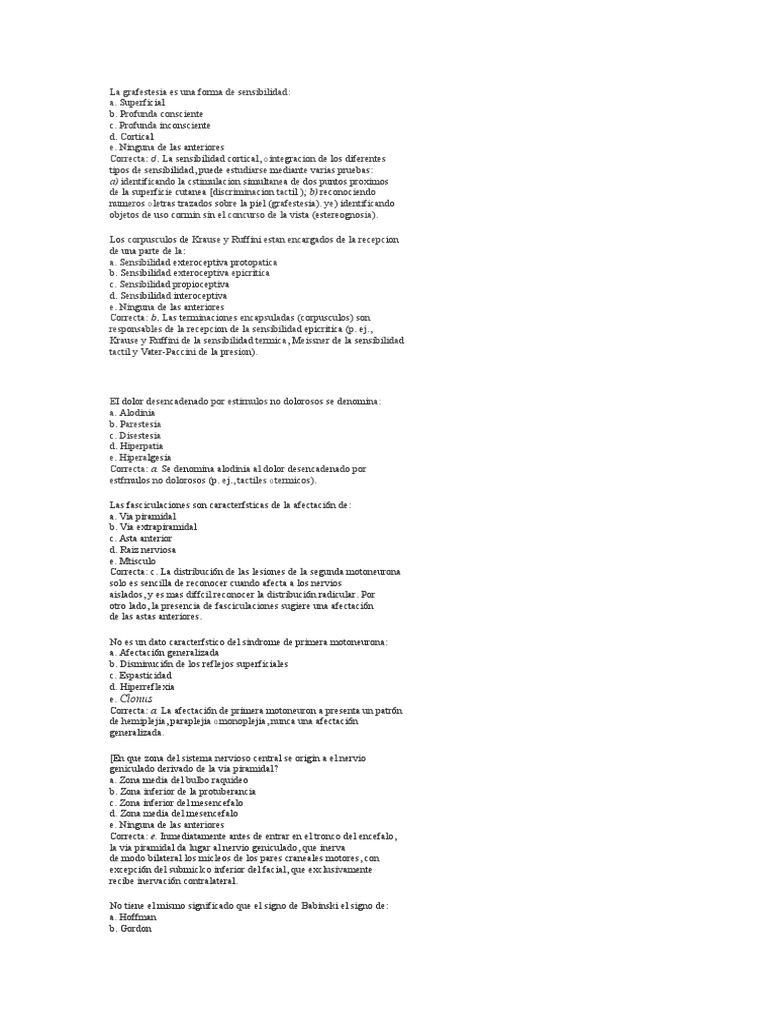 La Grafestesia Es Una Forma de Sensibilidad | PDF | Neuroanatomía ...