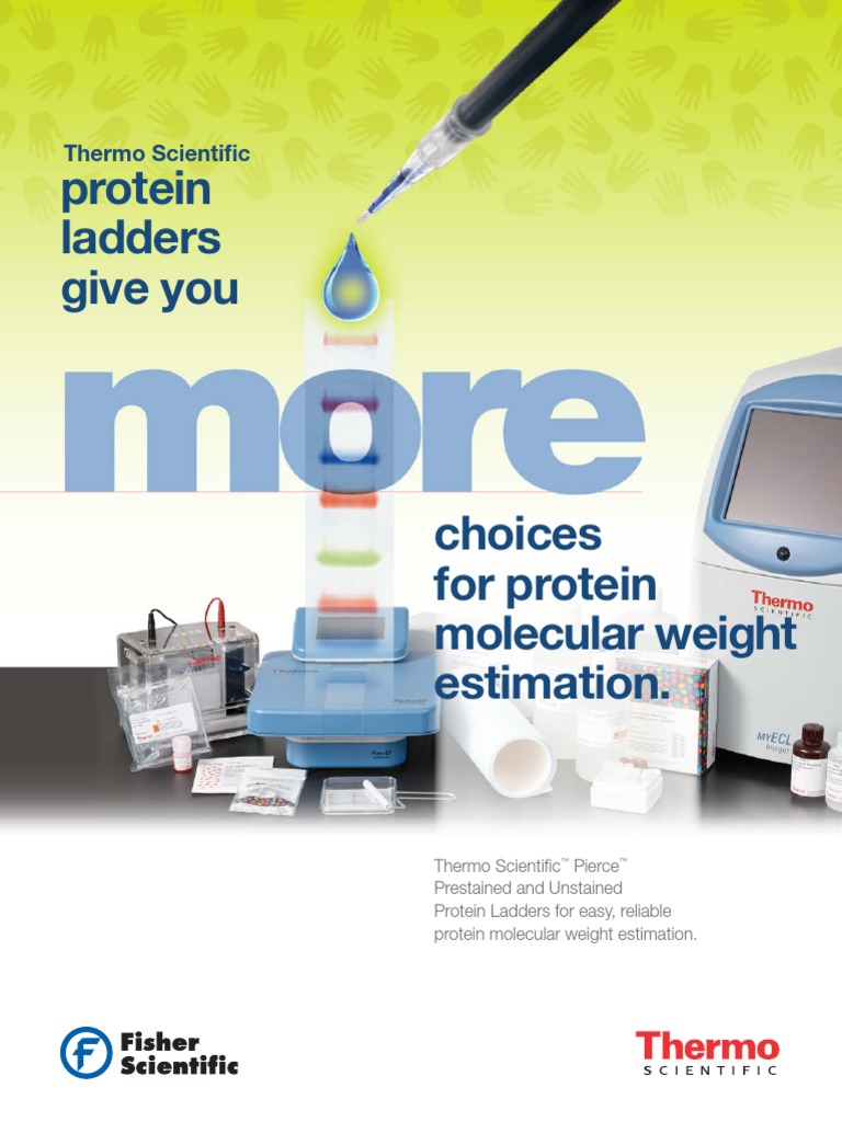 Thermo Scientific Pierce Protein Ladders Guide | PDF | Gel ...