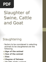 Digestive System of Goats | PDF | Ruminant | Digestion