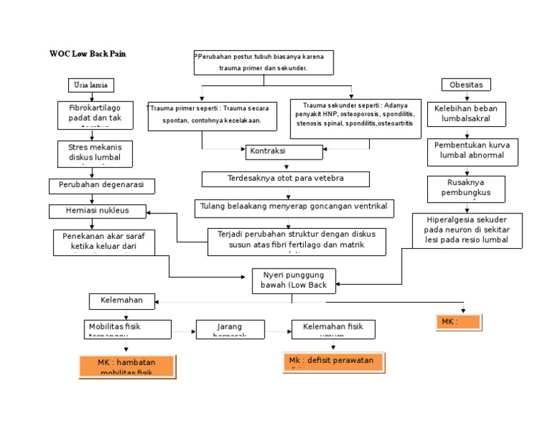 Woc Low Back Pain | PDF