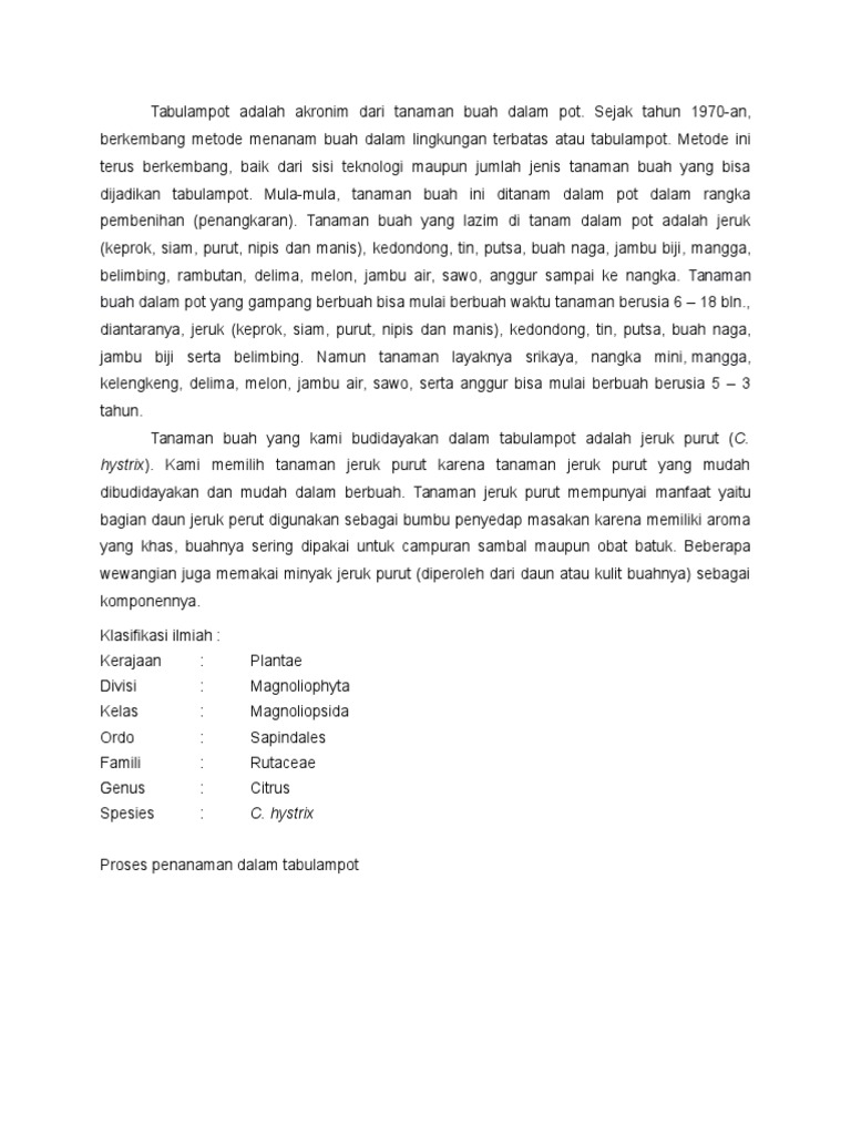 Jeruk Purut dalam Tabulampot: Panduan Budidaya | PDF