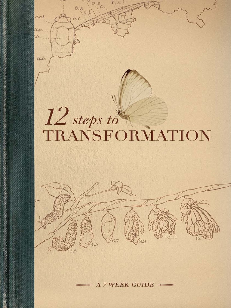 ECV - 12 Steps To Transformation - Lent 2014 | PDF | David | Prayer