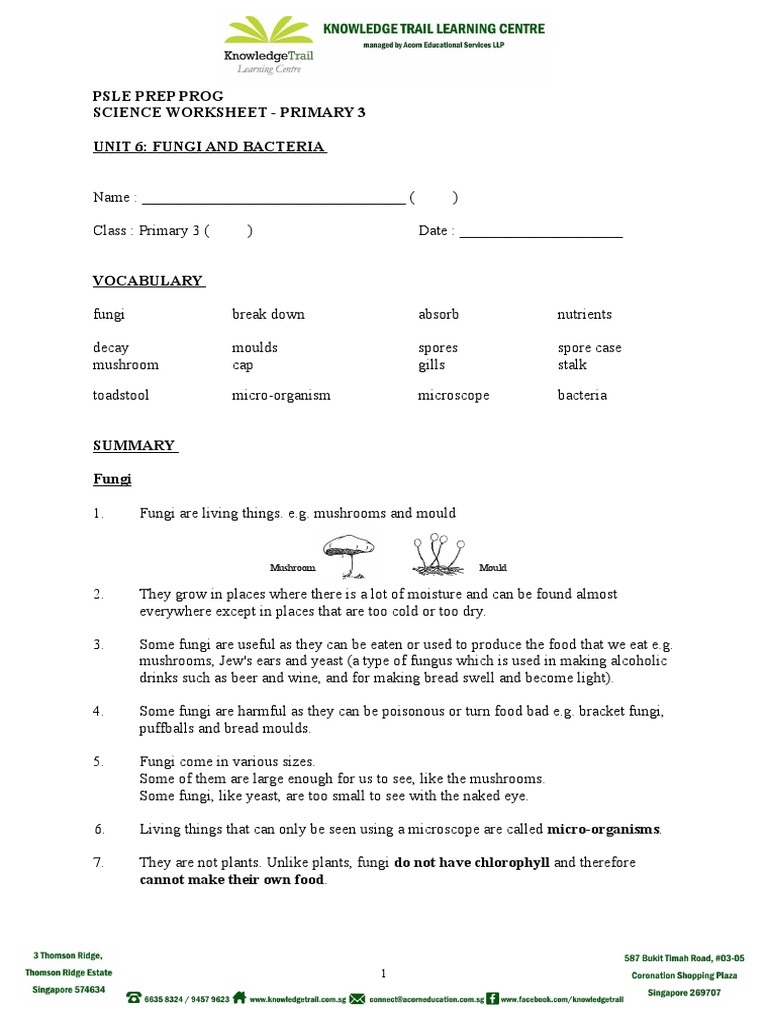 P3 Science - Diversity Unit 6 Notes | PDF